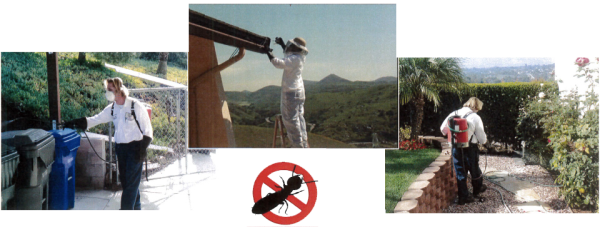 Pest Control San Diego | D and S Termite and Pest Control